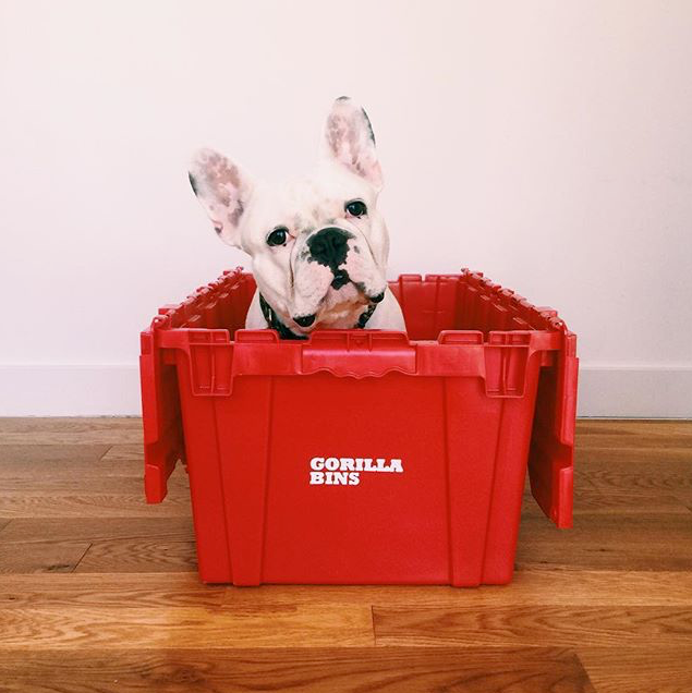 Gorilla Bins NYC, New York. Reviews – QQ moving